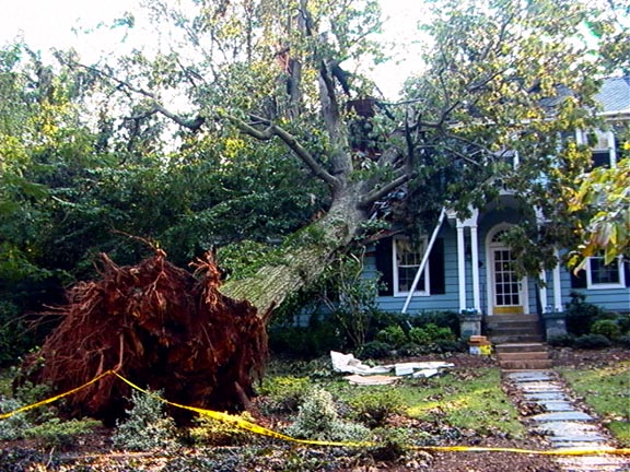 Hurricane Isabel Damage Photos and Video from Richmond and Central Virginia