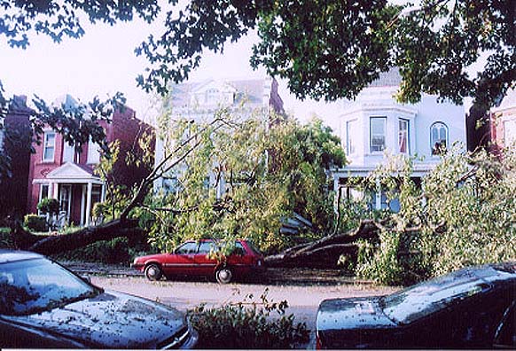 Hurricane Isabel Damage Photos and Video from Richmond and Central Virginia