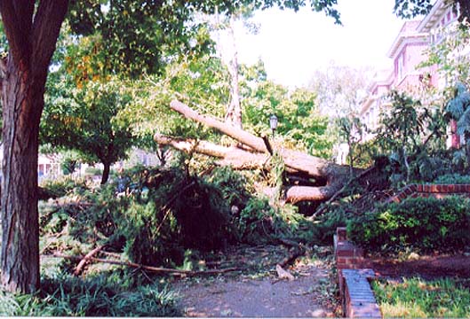 Hurricane Isabel Damage Photos and Video from Richmond and Central Virginia