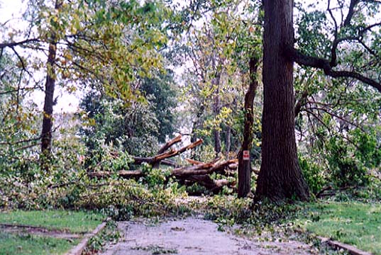 Hurricane Isabel Damage Photos and Video from Richmond and Central Virginia