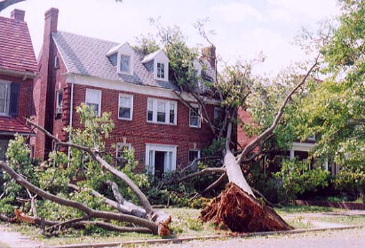 Hurricane Isabel Damage Photos and Video from Richmond and Central Virginia